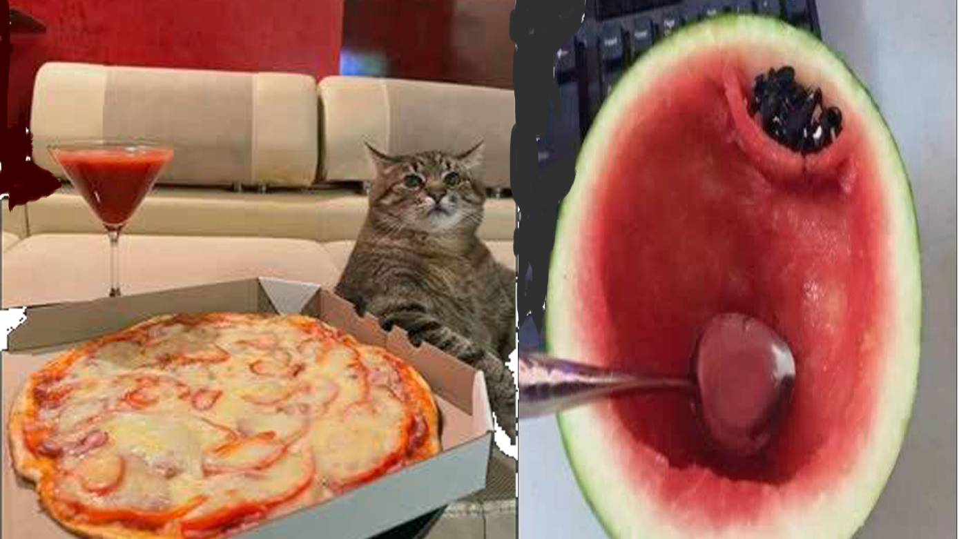 Сборник весёлых,смешных и интересных фото с интернета (12 часть)