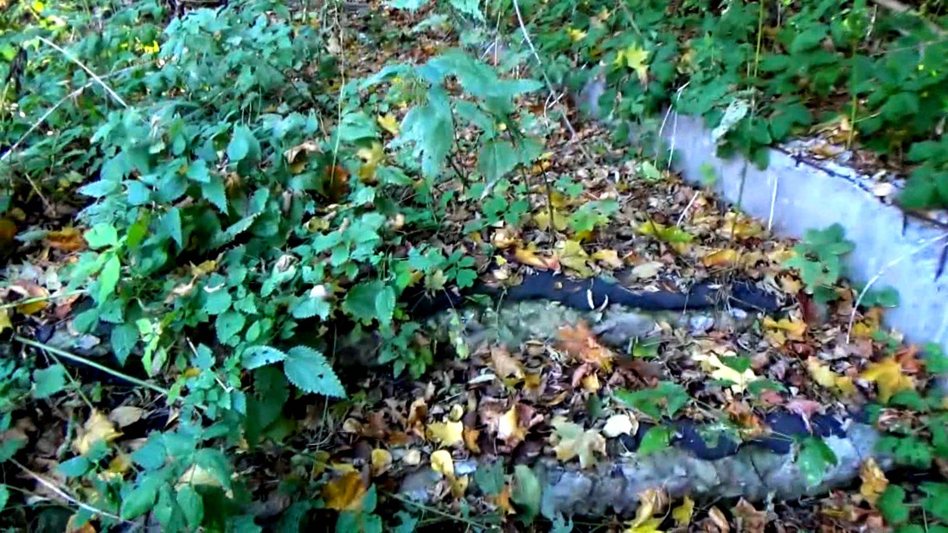 Прогулка по заброшенной дороге на Физкультурной улице в городе Вязники