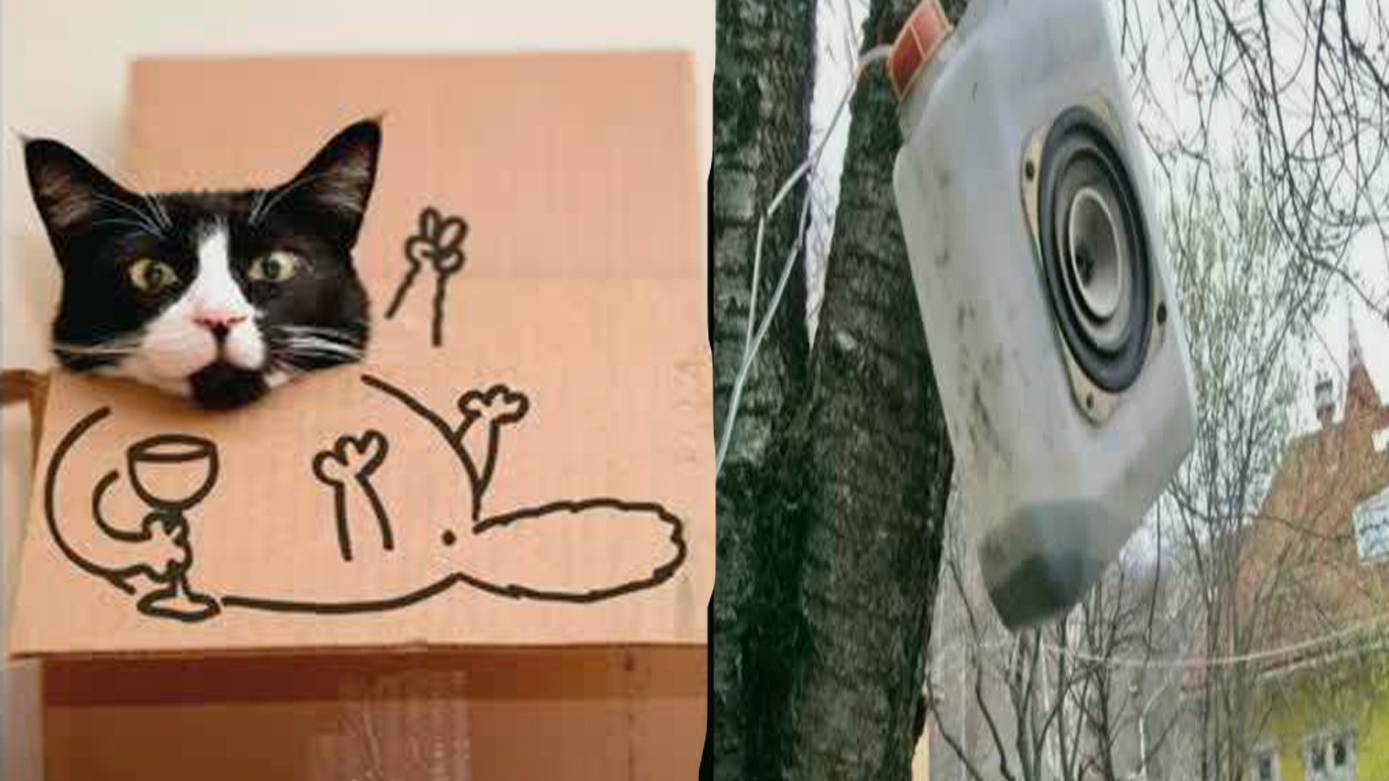 Сборник весёлых, смешных и интересных фото с интернета (14 часть)