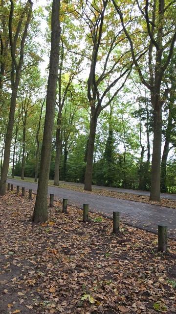 Секреты голландской кухни