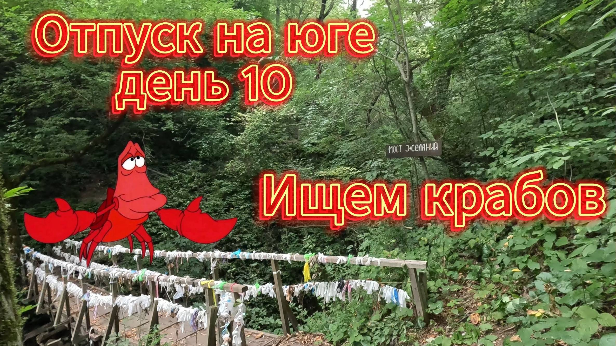 Отпуск. День 10. Крабовое ущелье в Лазаревском: стоит ли посещения? Отмена яхты, холодное море и еда