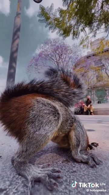 отправь другу который также долго не отвечает