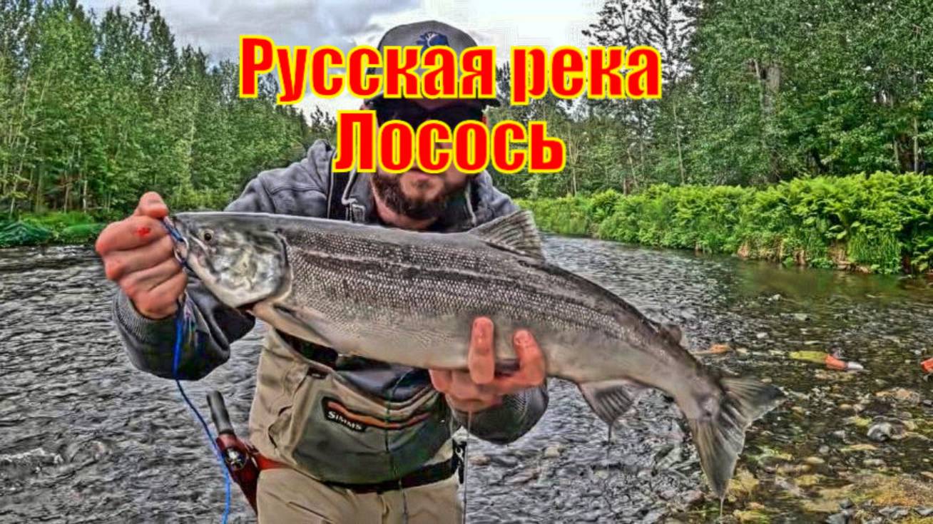 Русская река Лосось