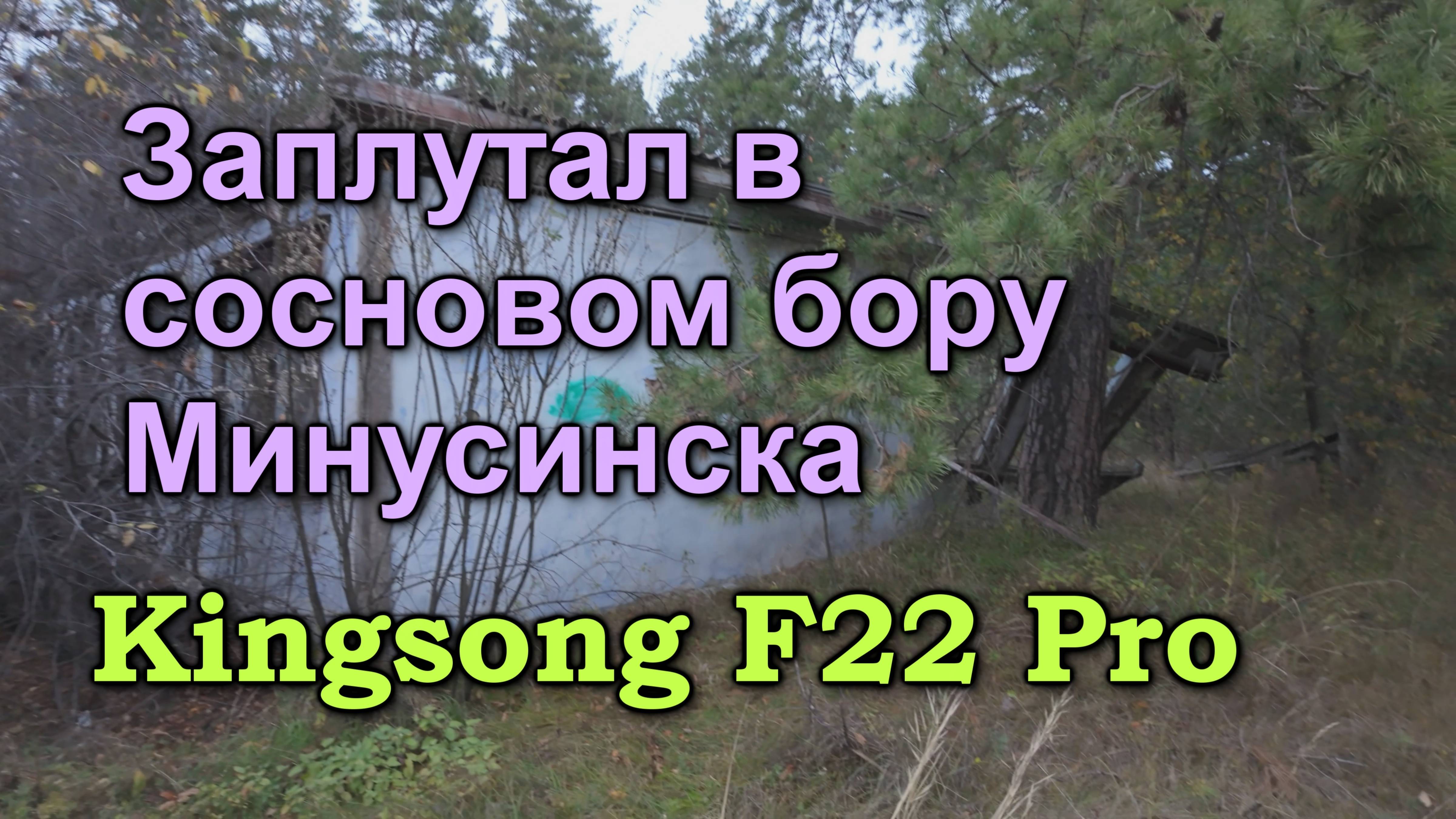Блуждаю по сосновому бору в Минусинске на моноколесе kingsong f22 pro