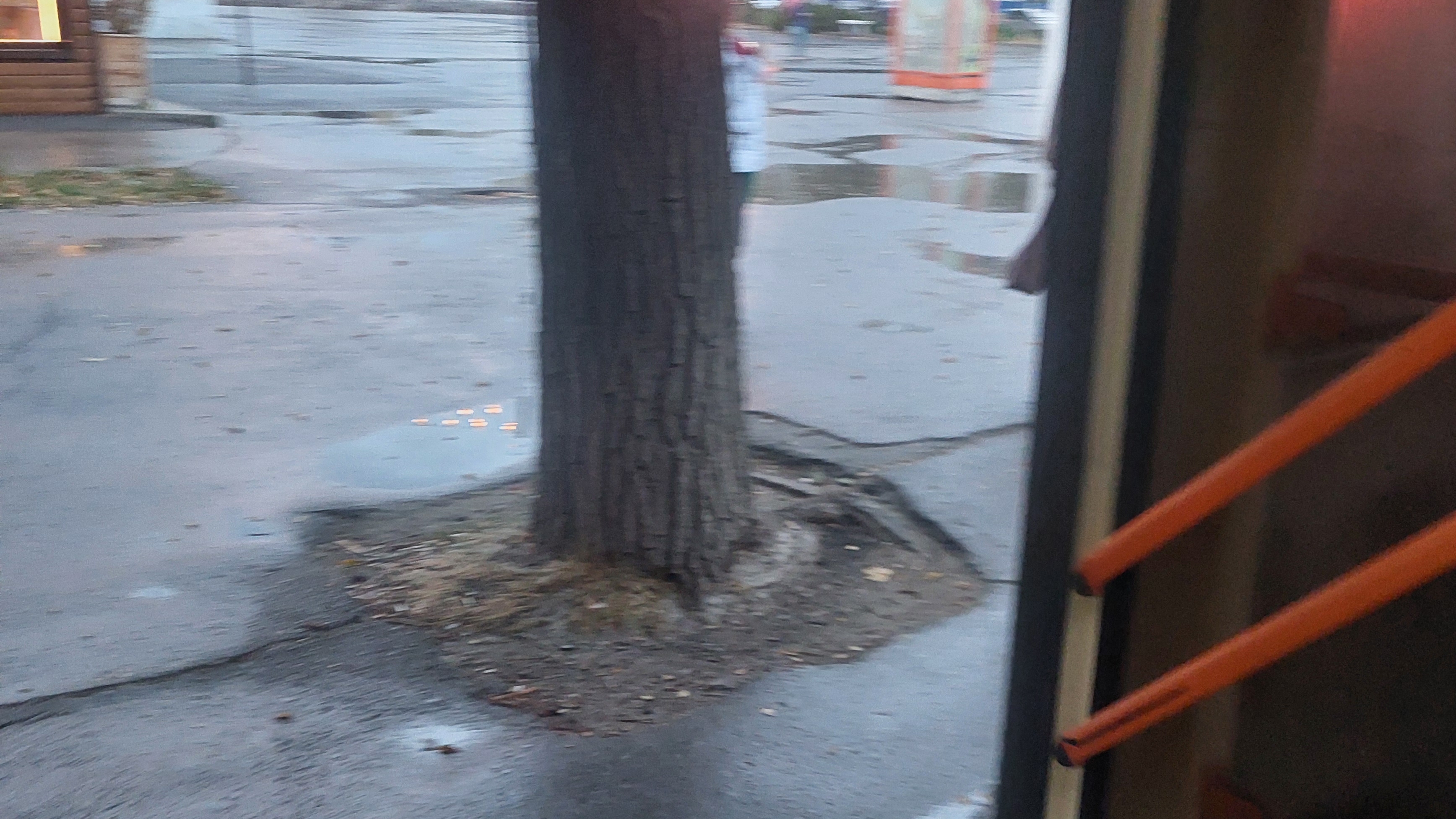 ФИКСПРАЙС  и МЕГАХЕНД  -дождь ☔️ в городе  Осень Лайф