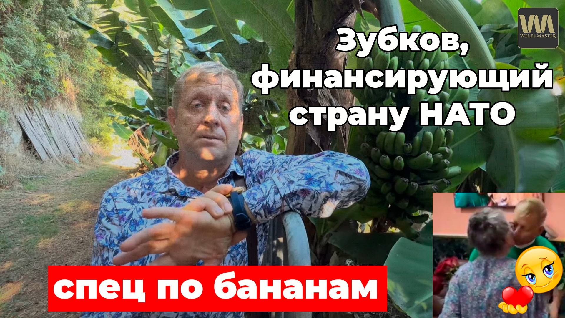 Зубков, финансирующий в страну НАТО - спец по бананам, 9 октября