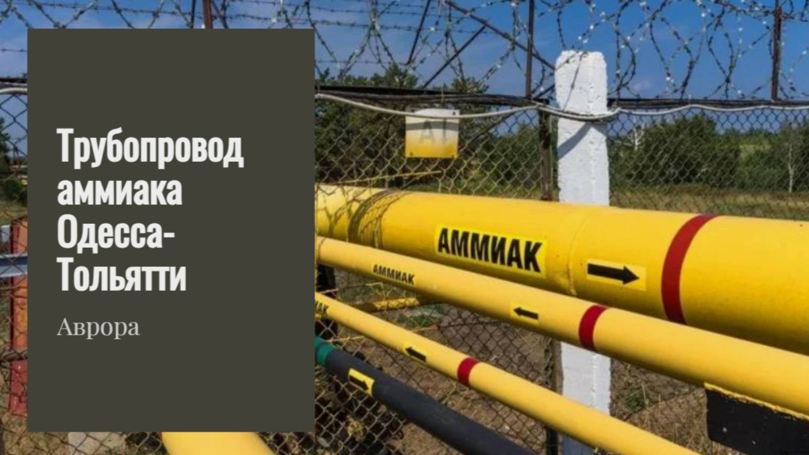 Трубопровод аммиака Одесса-Тольятти 2023 Расклад  31.05.2023