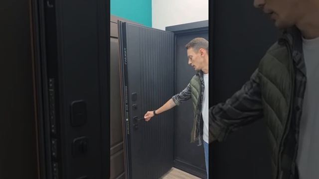 Варианты входных дверей