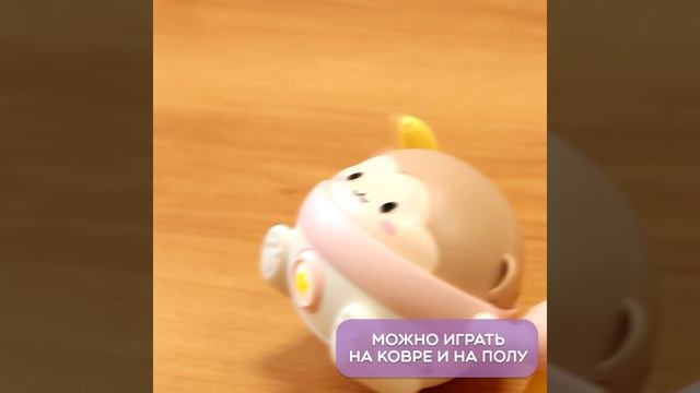 LP201641722_Обезьяны видео