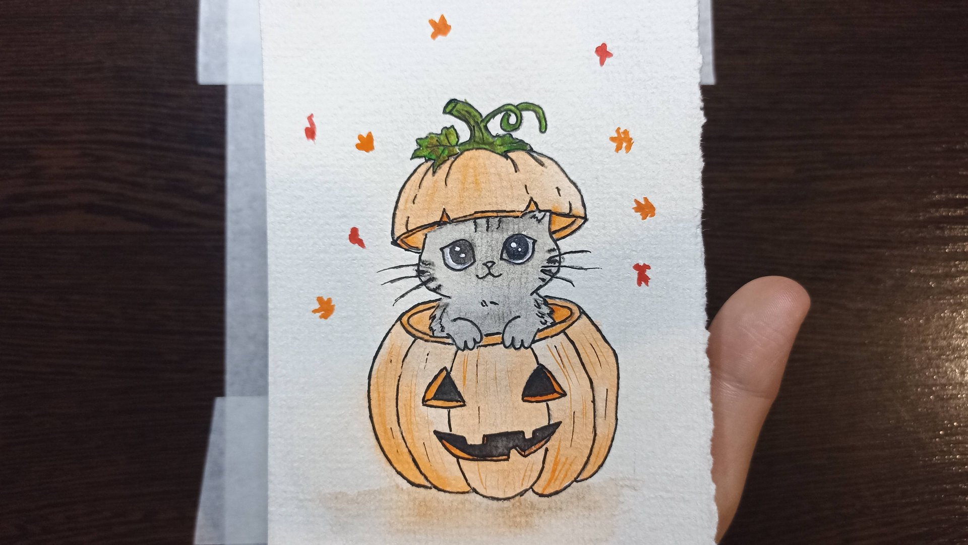 Рисунок акварелью / Котик в тыкве