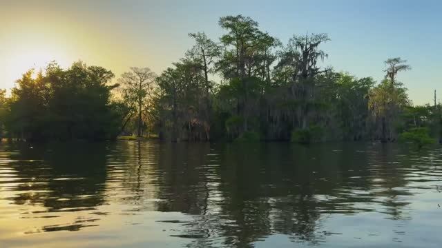 НЕВЕРОЯТНАЯ утренняя прогулка на байдарке  Расслабляющие звуки природы, Пение птиц и аллигаторы  Кип