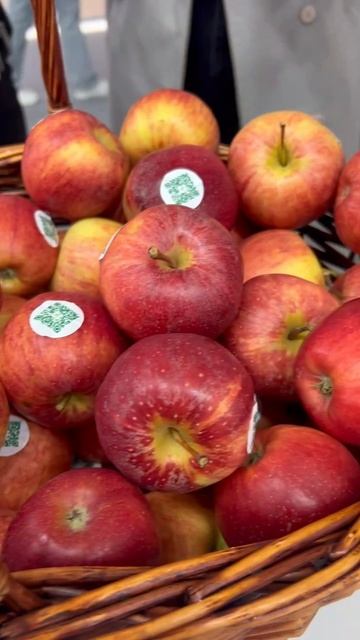 «Агроэксперт» дарит гостям «Золотой осени — 2025» предсказания