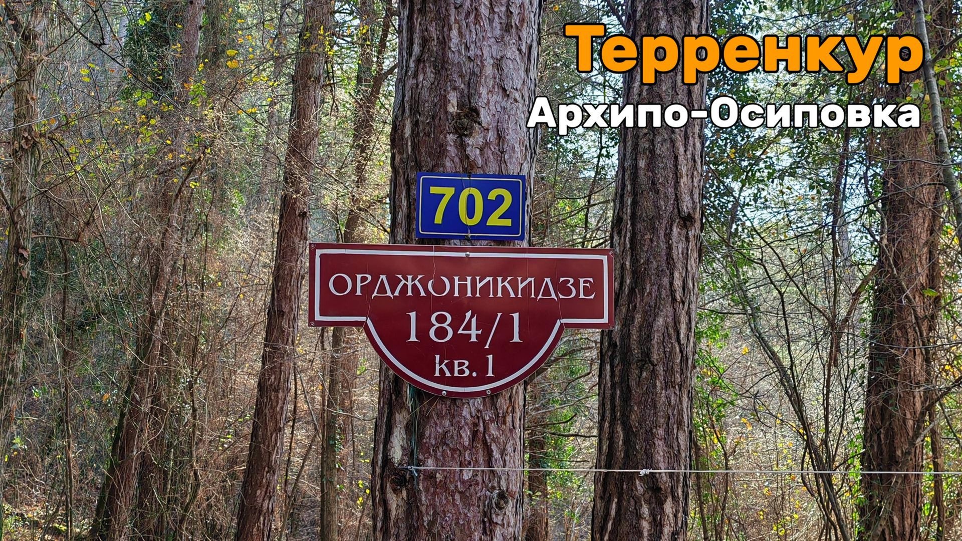 Брошенный терренкур в Архипо-Осиповке, по которому гулял Гагарин
