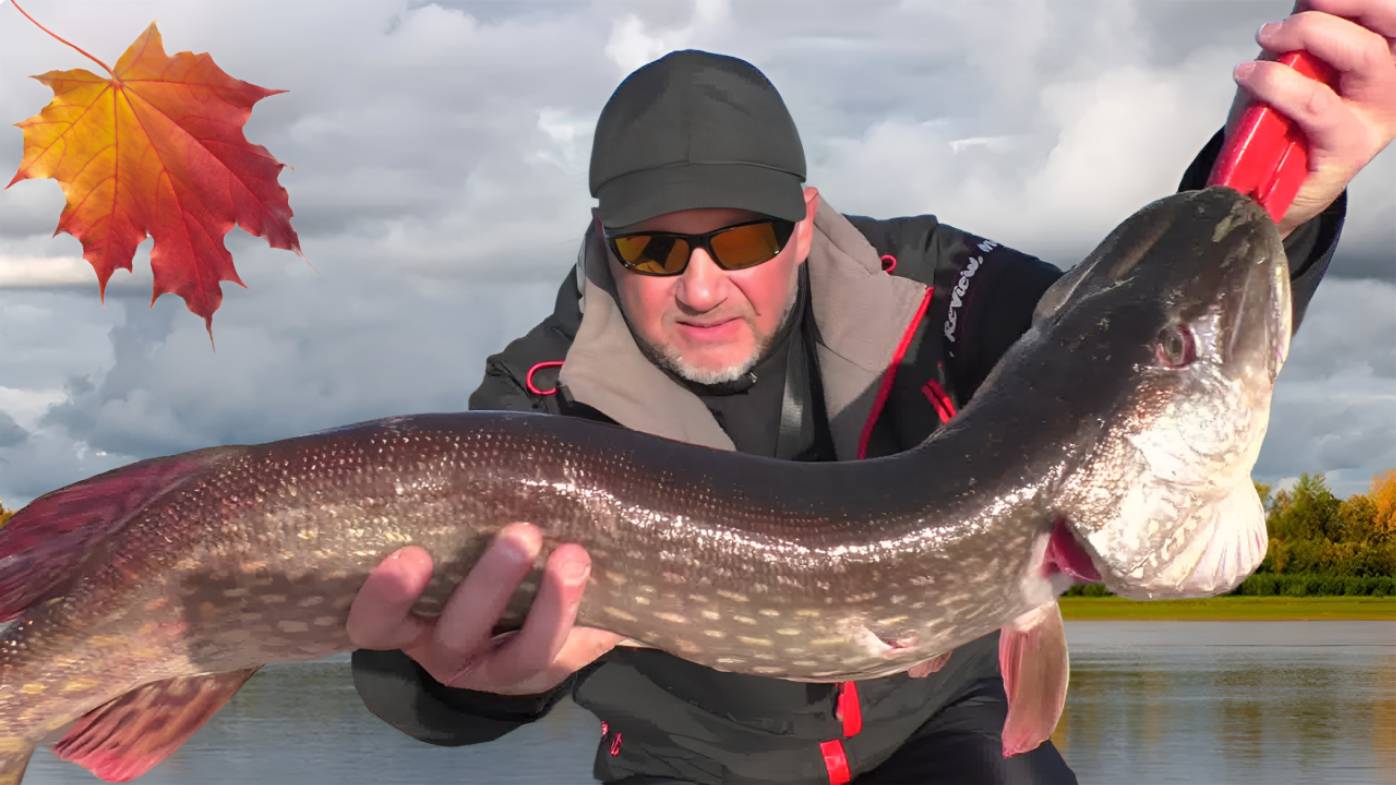 Ловля ЩУКИ в октябре.