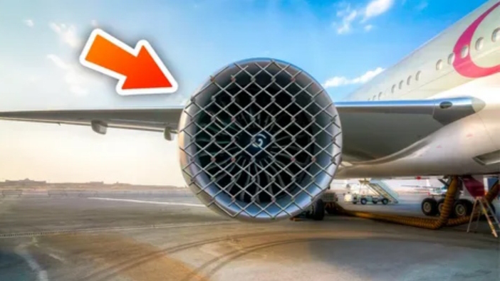 Почему у Самолётов Двигатели не Защищены от Птиц