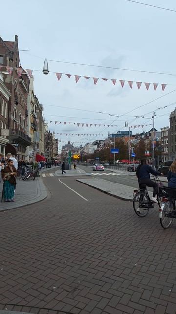 Секреты девичьей голландской селедки