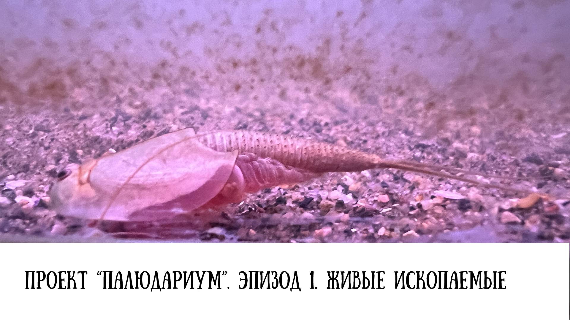 Проект "Палюдариум". Эпизод 1.  Живые ископаемые