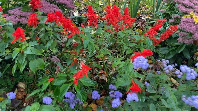 Моя дача после отпуска