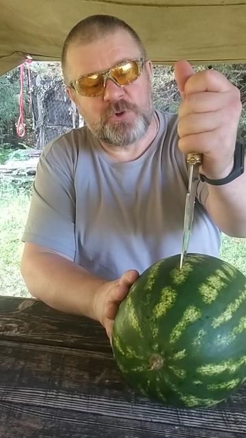 Добро Пожаловать