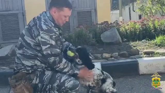 Ежедневные тренировки