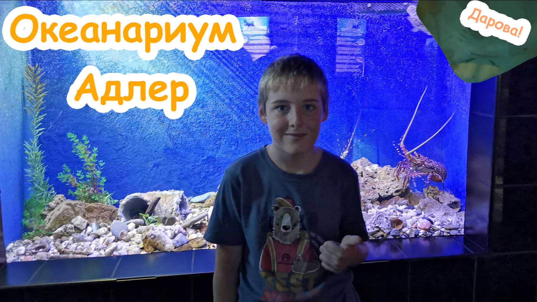 Океанариум Адлер