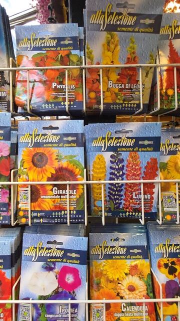 Цветочный рынок Амстердама