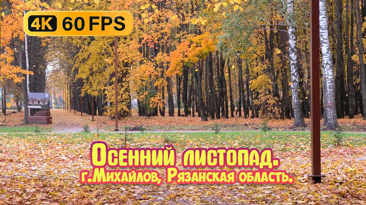 Осенний листопад в Семейном парке, город Михайлов, Рязанская область.