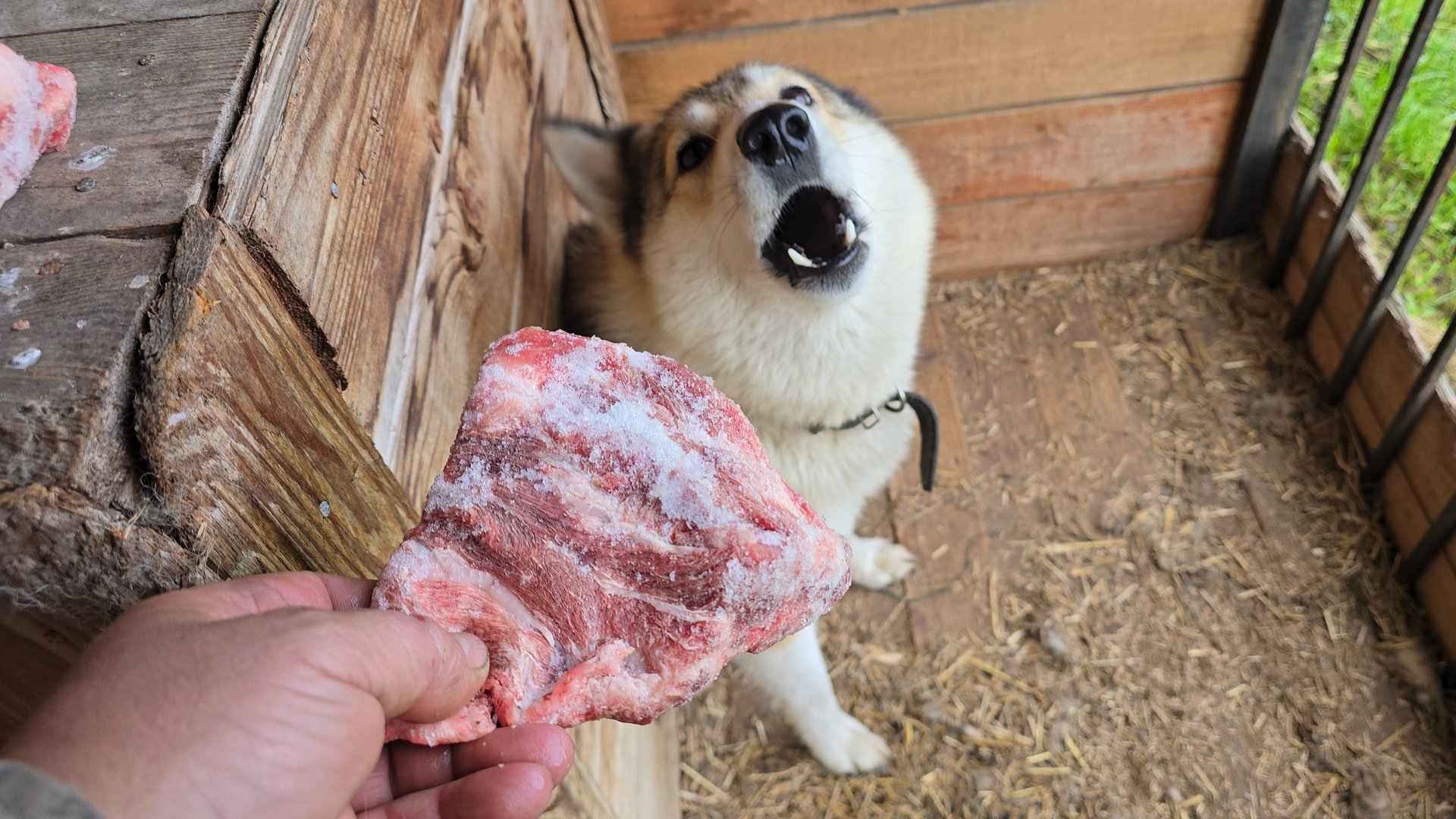 Вкусняшки на троих