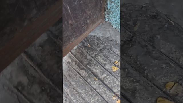 Акт вместо 1000 слов ❤