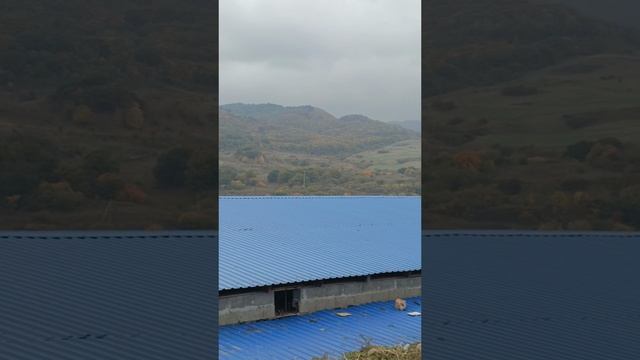 Челлендж: убежать от Грозы