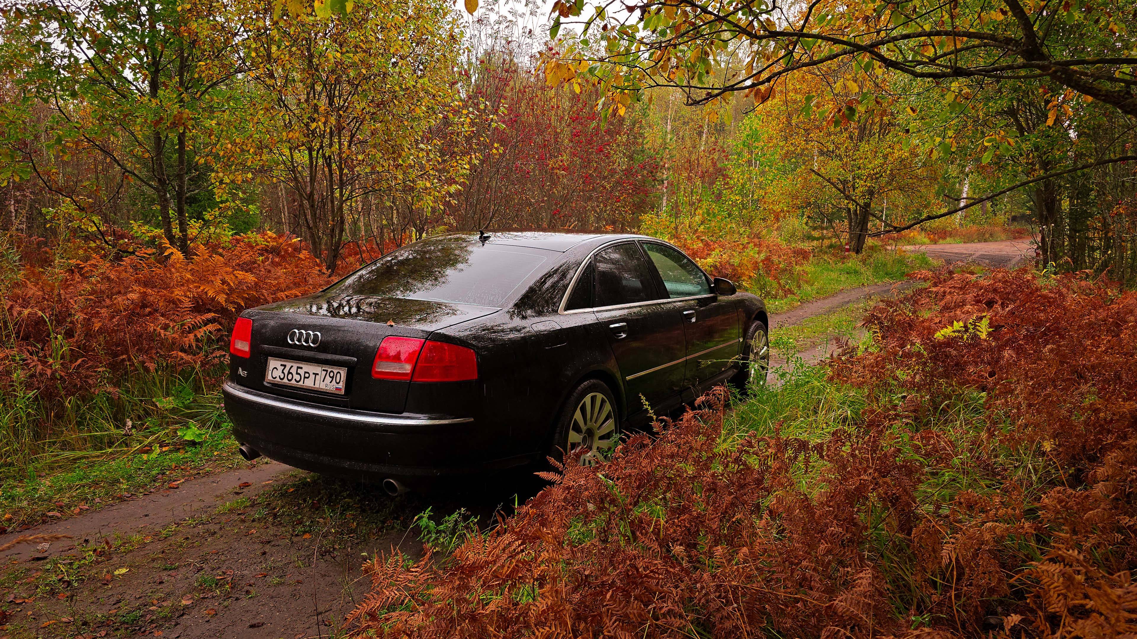 Проставки, адсорбер, зарядка.  Выезд и обкатка АКПП после ремонта #audi #a8d3 #customan