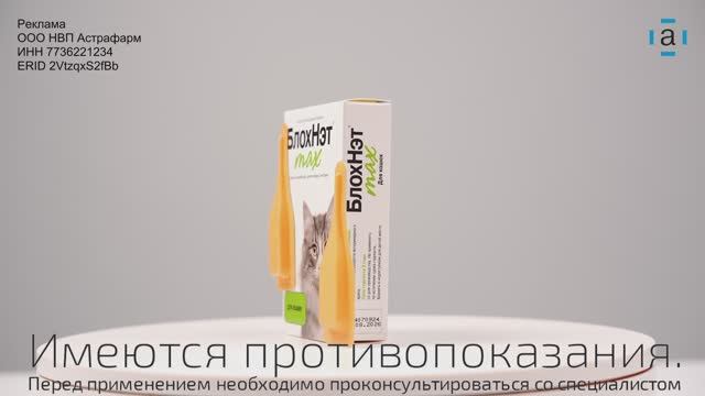 Распаковка БлохНэт max для кошек