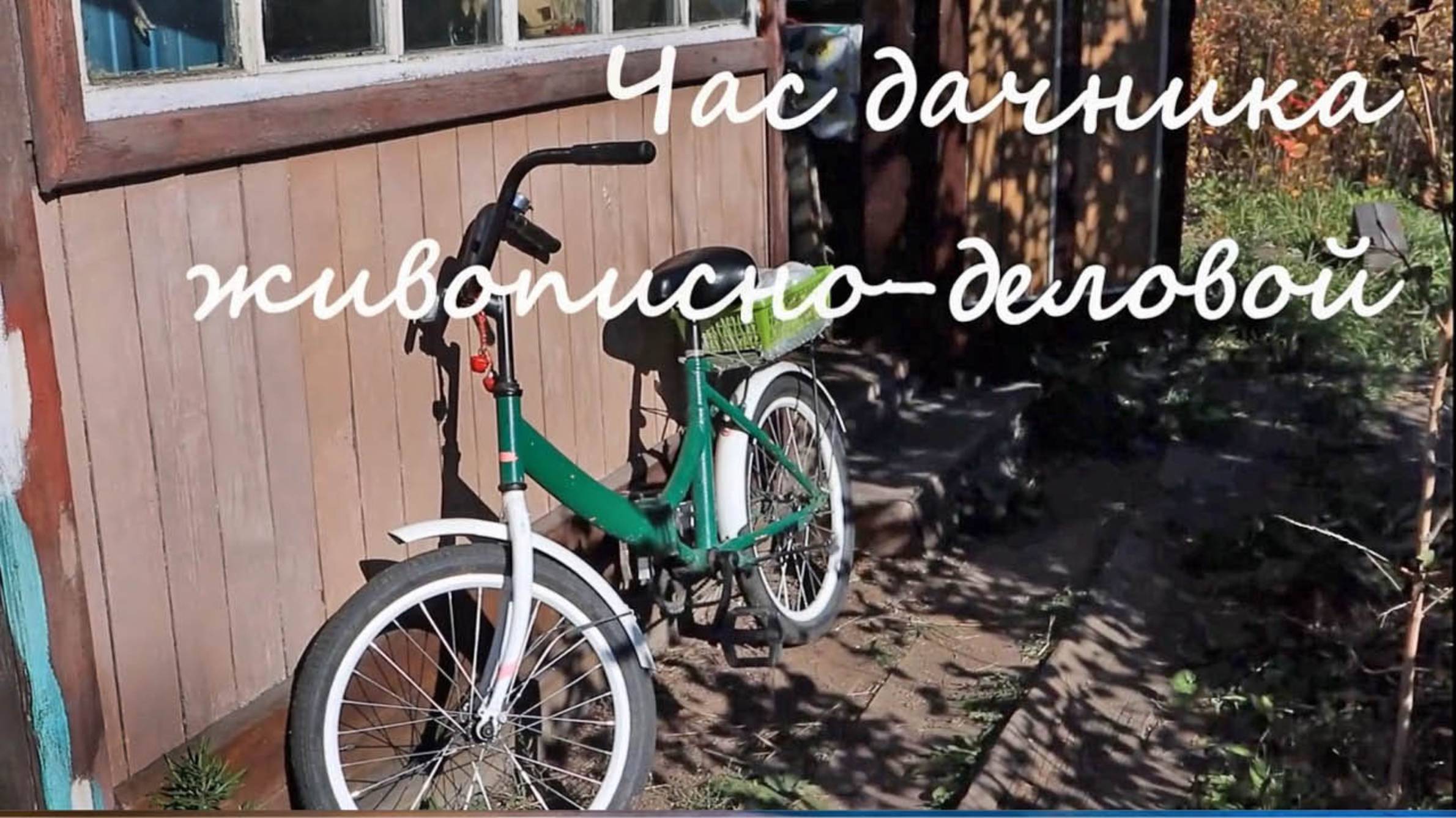 Час дачника живописно-деловой