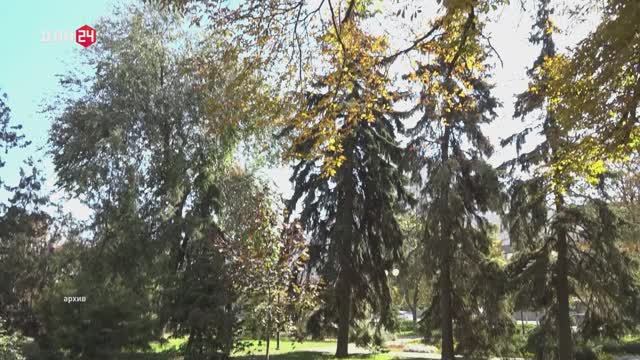 Жили-были-на-Дону 11.10.2025