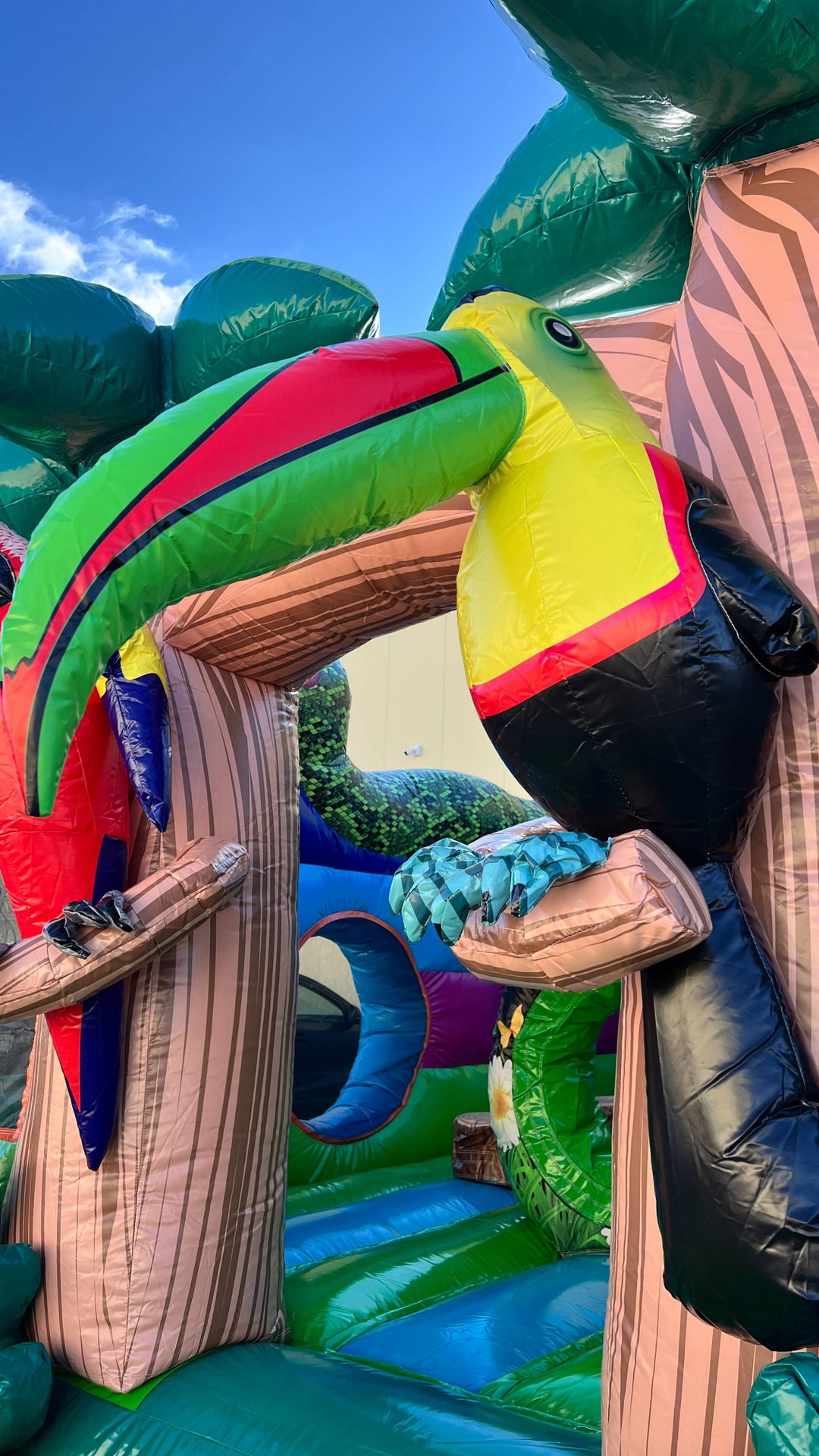 Надувной батут "Остров чудес"