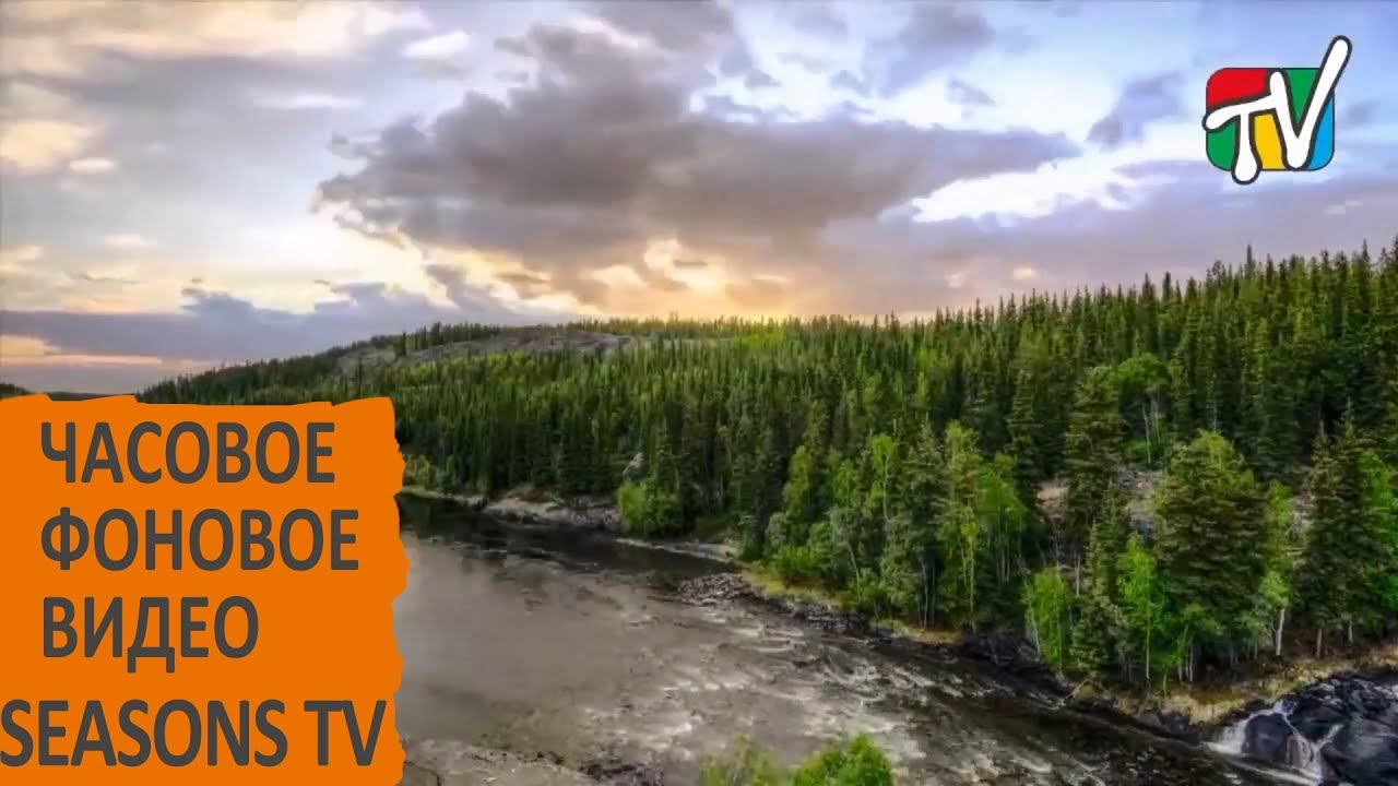Seasons TV | Фоновое видео для ресторанов, кафе, баров |  Запись эфира