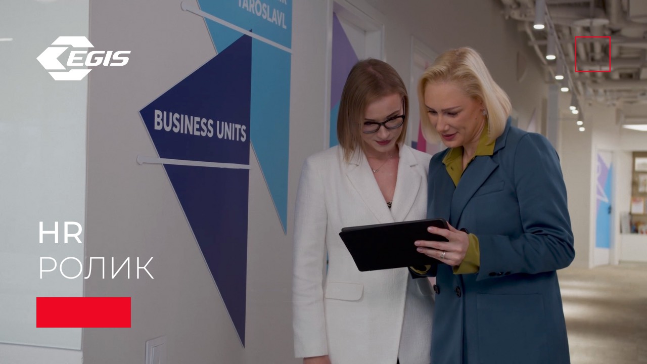 HR-ролик для ЭГИС
