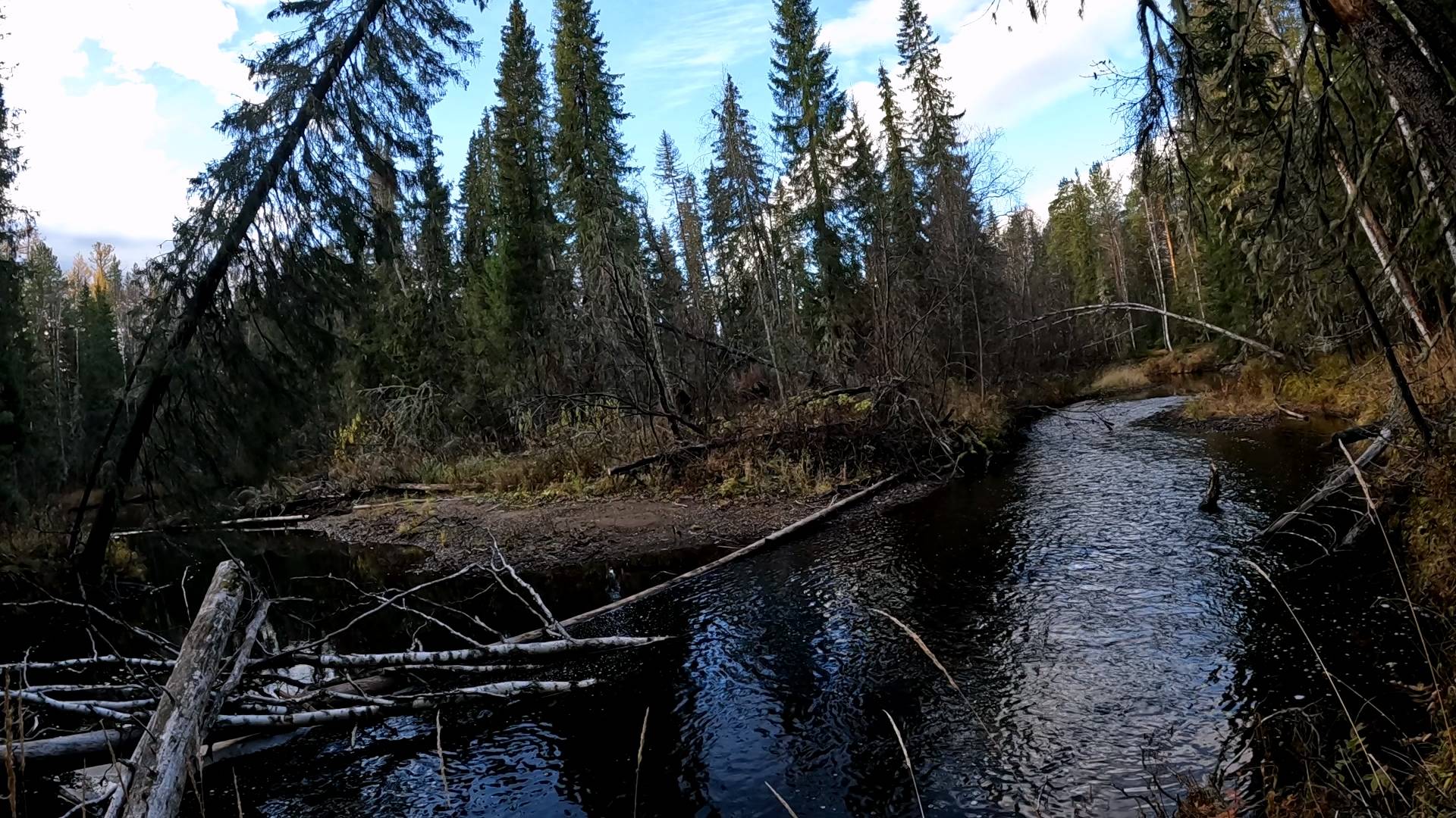 Хариус в октябре.