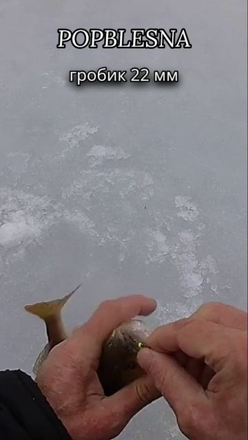 Гробик 22 работает