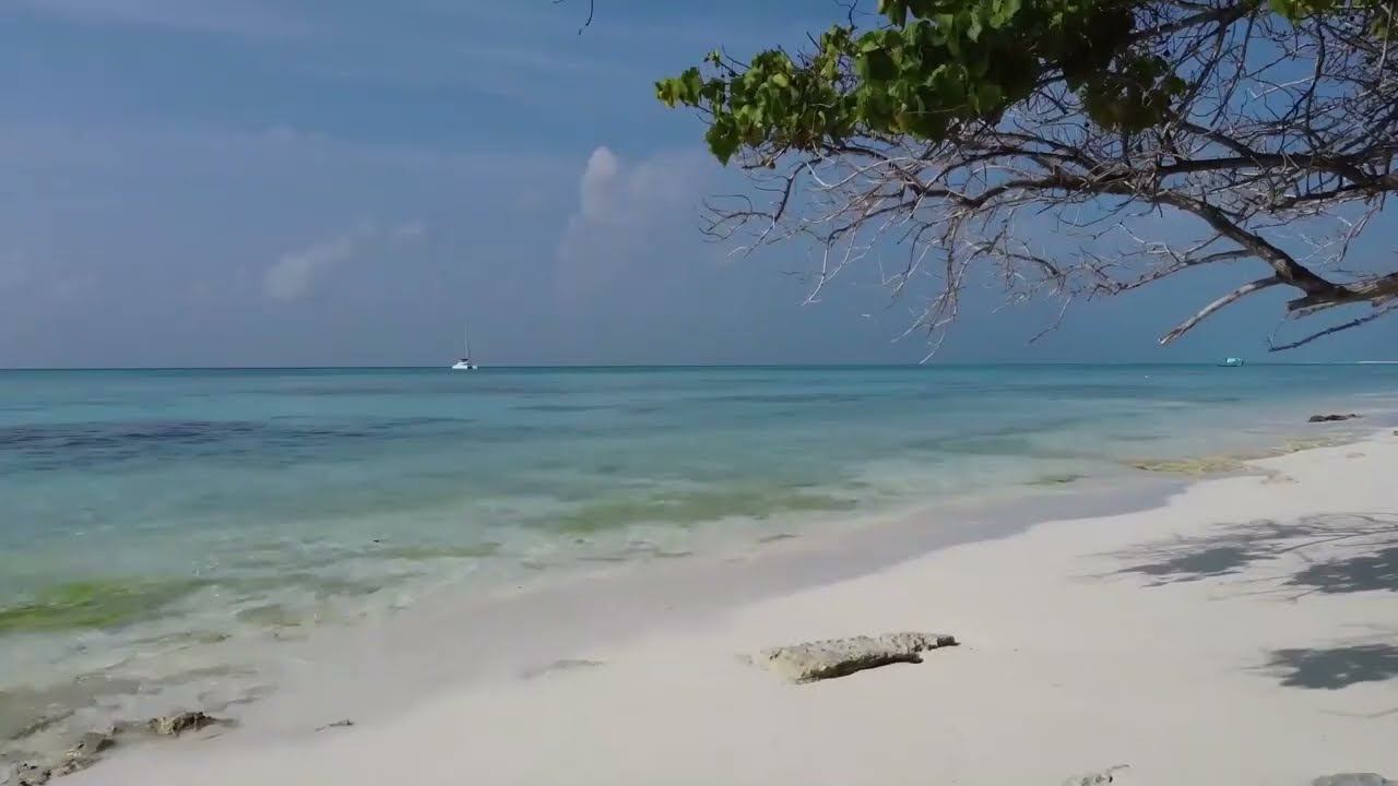 Фоновое видео. Трейлер канала "Tropical Summer"