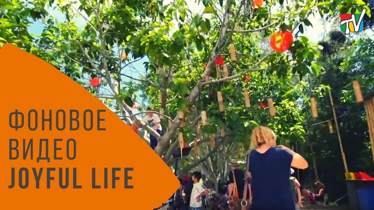 Фоновое видео. Трейлер канала "Joyful life"