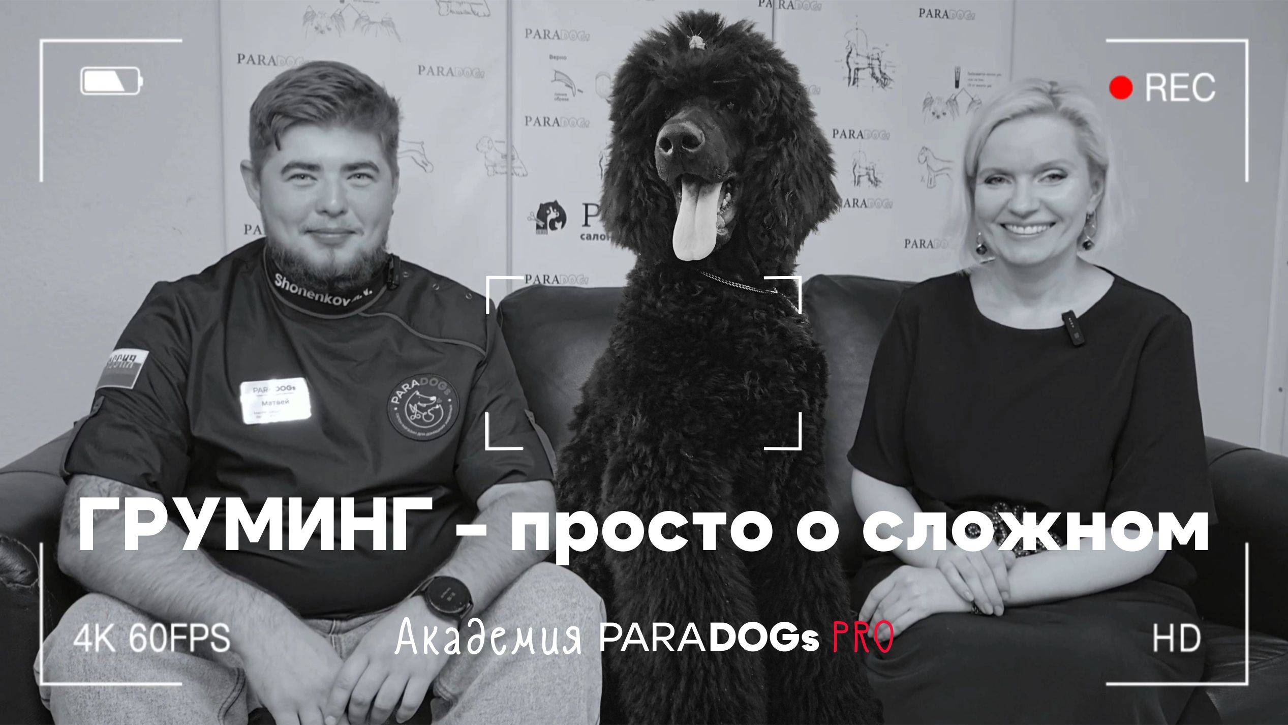 Груминг - просто о сложном