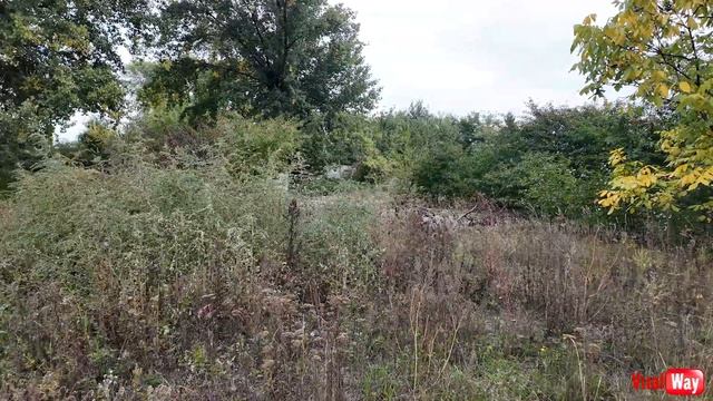 Старый заброшенный базар в Кайдаках