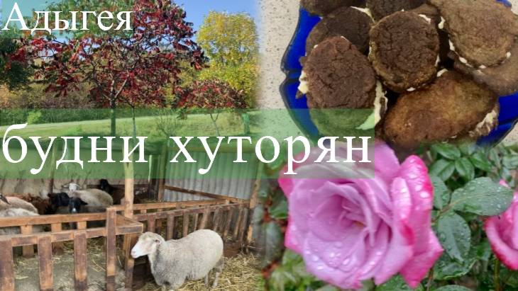 Адыгея/ Жизнь на хуторе / Печеночные оладьи/ Больше так не назовем/ Дождливый прогноз/