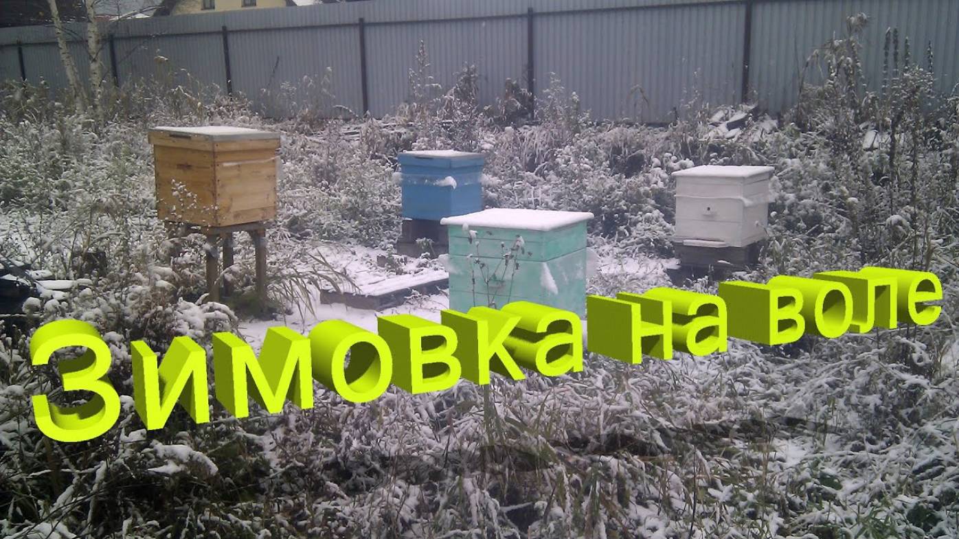 Сберегите пасеку! Зимовка на воле по методу Кашковского