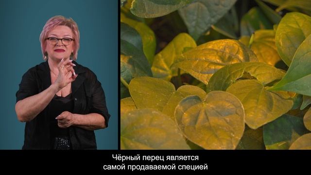 Вторая оранжерея Царицына. Экскурсия на русском жестовом языке. Часть 3