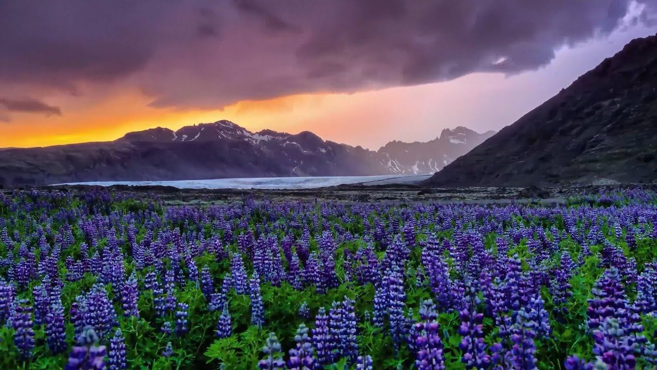 Фоновое видео. Трейлер канала "Nature 4K"