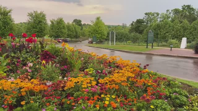 Тихая Прогулка По Саду После Летнего Утреннего Дождя На Острове Макино  Расслабляющие Звуки Природы