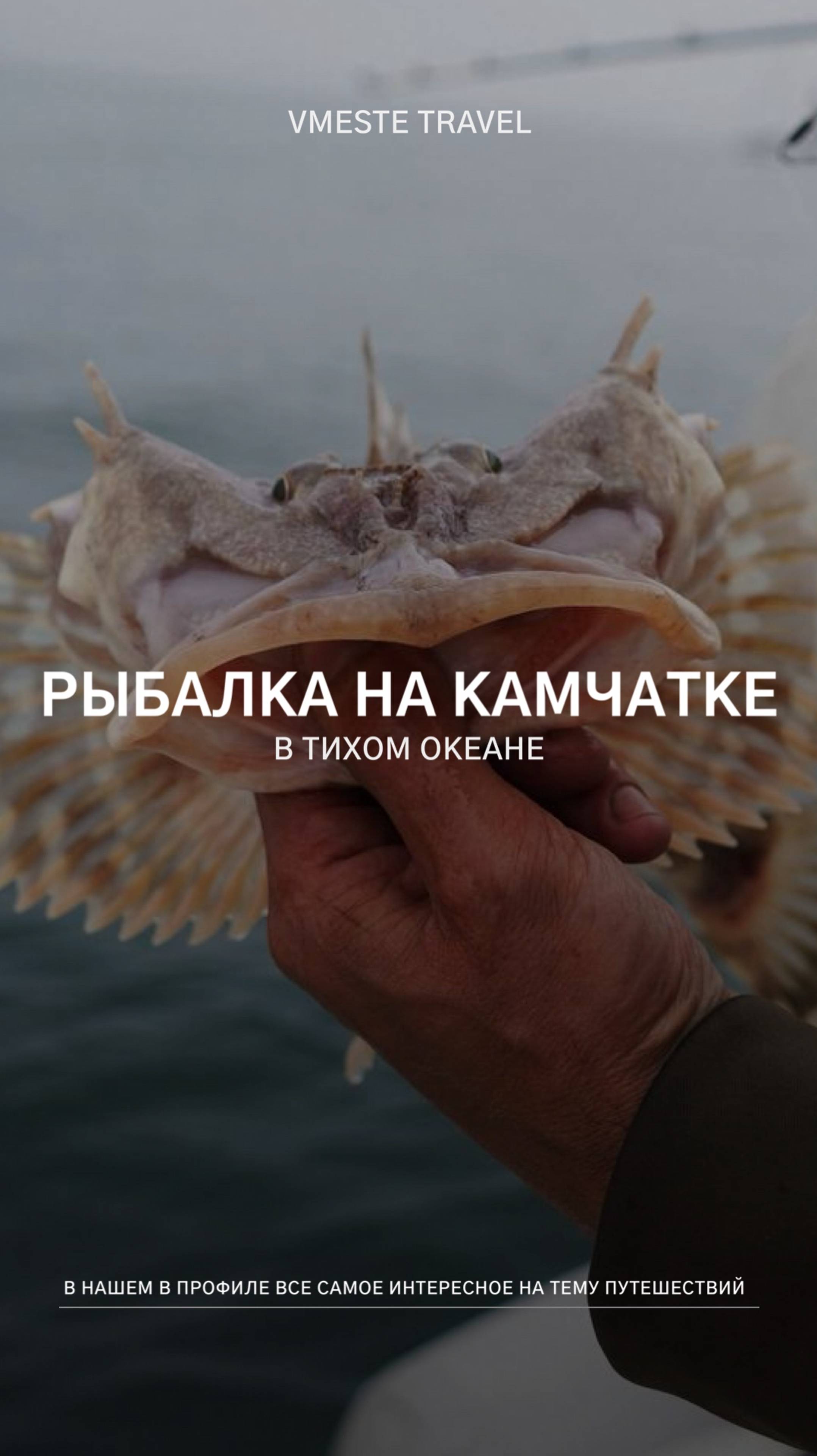 Трофейная рыбалка на Камчатке в Тихом океане с командой Вместе Тревел