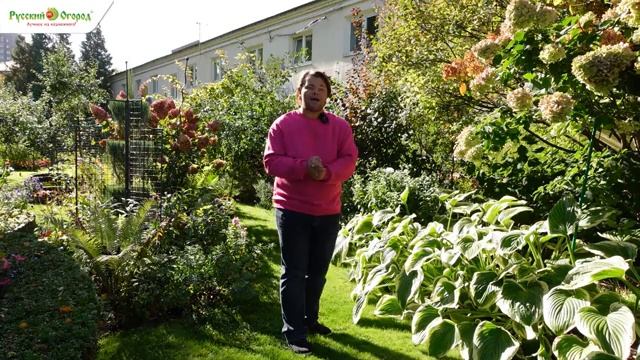 Обработка сада.